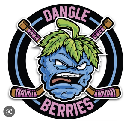 GSBHL – Greater Sudbury Ball Hockey League